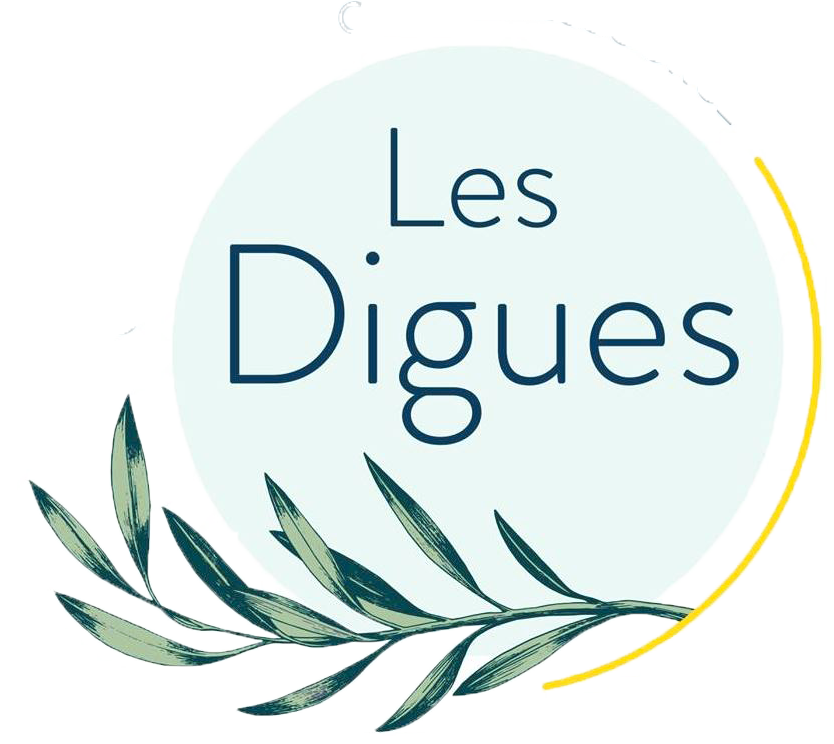 Les Digues | Médecine générale – Centre de ressource – Centre de ...